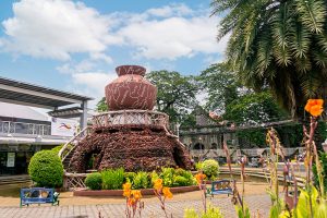 Calamba: Where history, culture, and nature come alive - Property Report